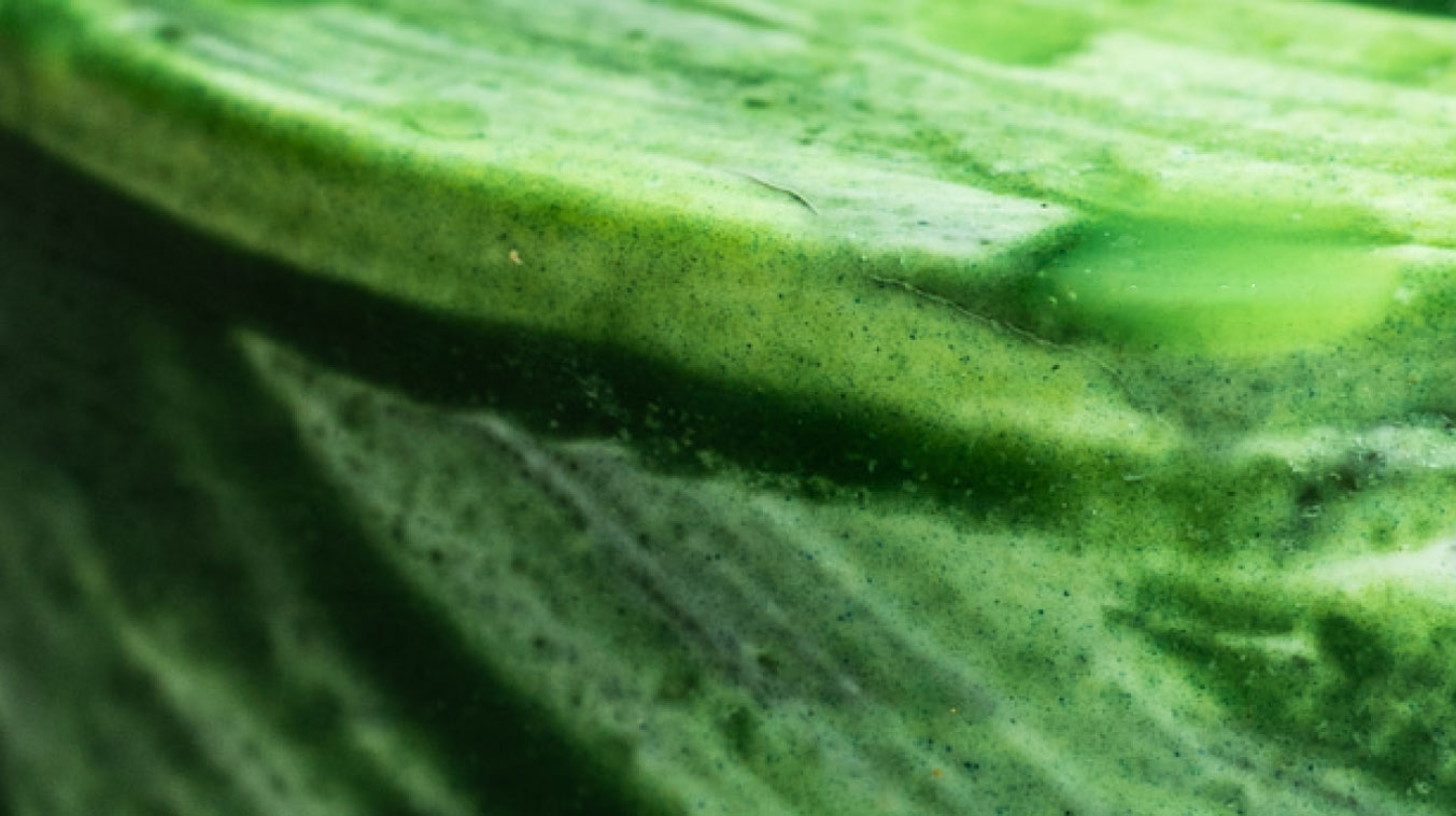 Greens - Givaudan Sense Colour