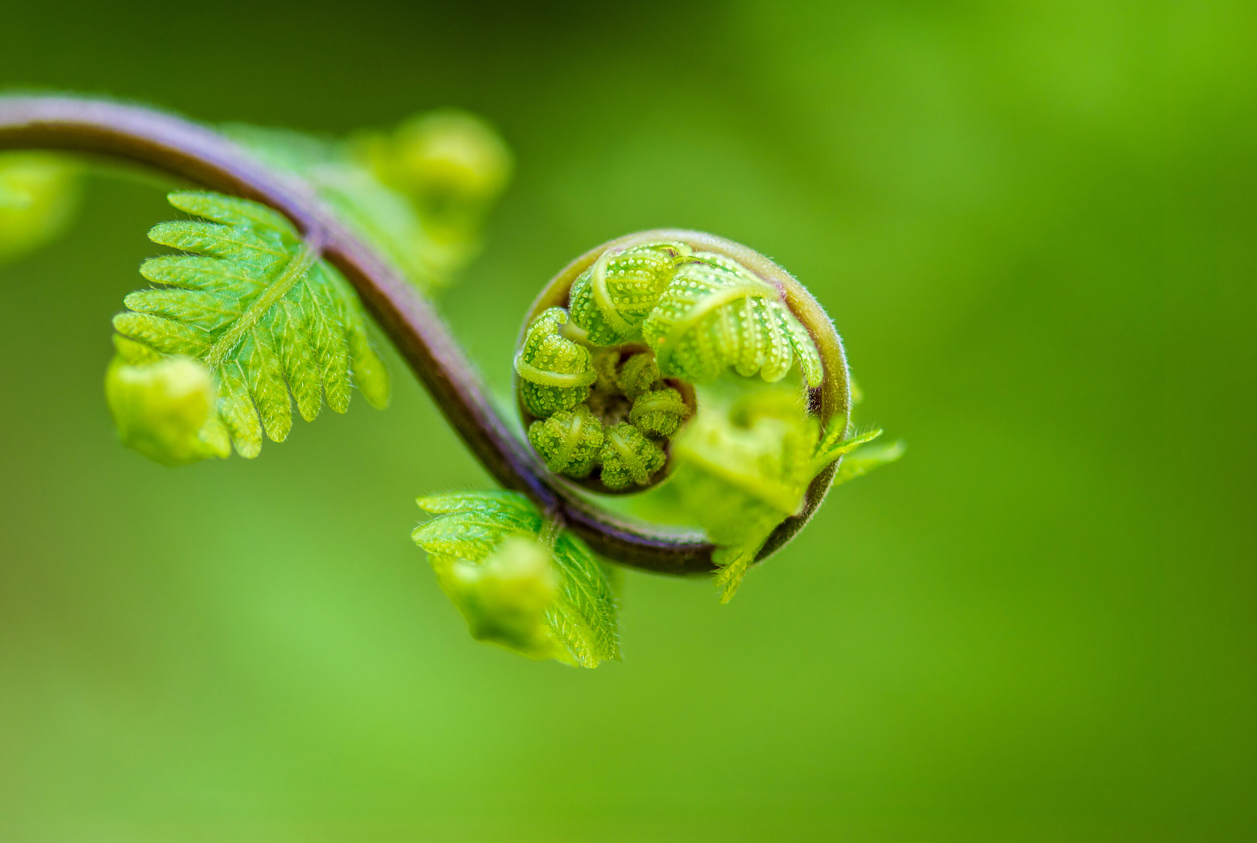 Givaudan Sense Colour Announces Leadership Change - Givaudan Sense Colour